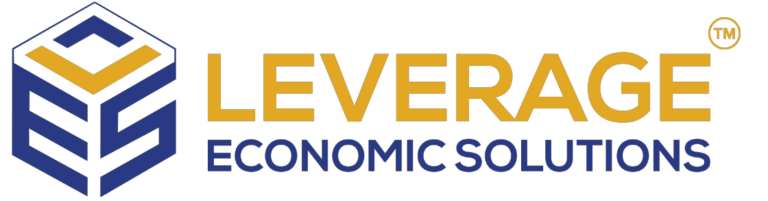 What We Do | Leverage Economic Solutions
